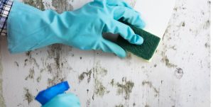 12 Simple Ways to Remove Stains from The Wall & Ceilings