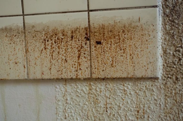 12 Simple Ways to Remove Stains from The Wall & Ceilings