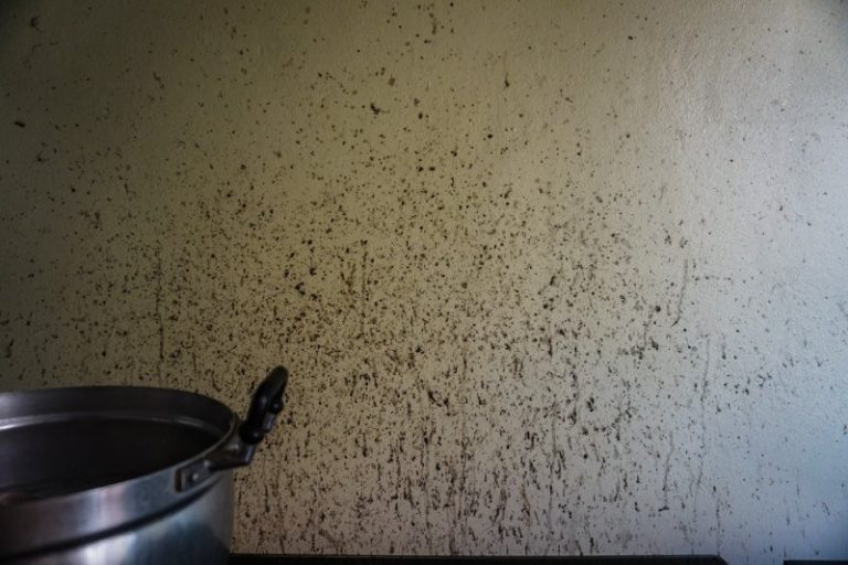 12 Simple Ways to Remove Stains from The Wall & Ceilings