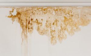 12 Simple Ways to Remove Stains from The Wall & Ceilings
