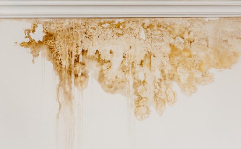 12 Simple Ways to Remove Stains from The Wall & Ceilings